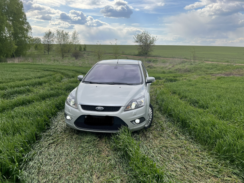 Соты, туманки, щетки, подшипник ступицы — Ford Focus Hatchback II, 1,6 ...