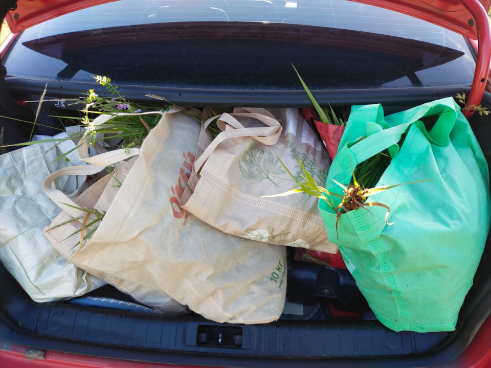 "Он послан был ей богом, но она была атеистка…" (с) — Saab 9-3 (2G), 2 л, 2006 года | наблюдение ...