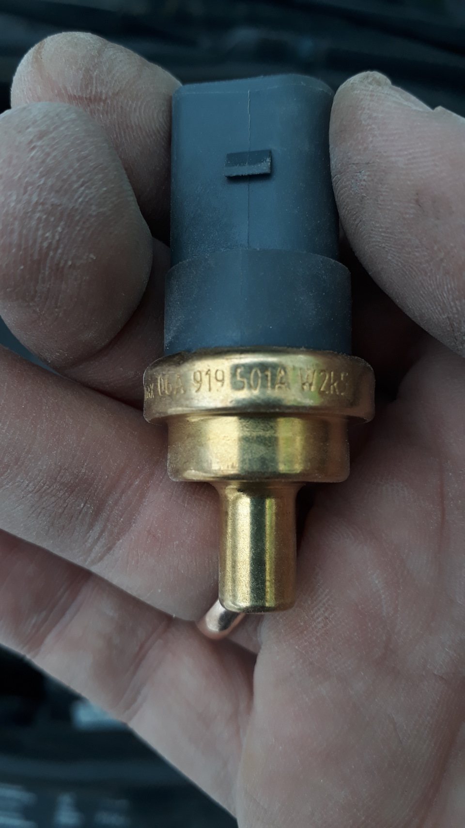 06A919501A Датчик температуры VAG | Запчасти на DRIVE2