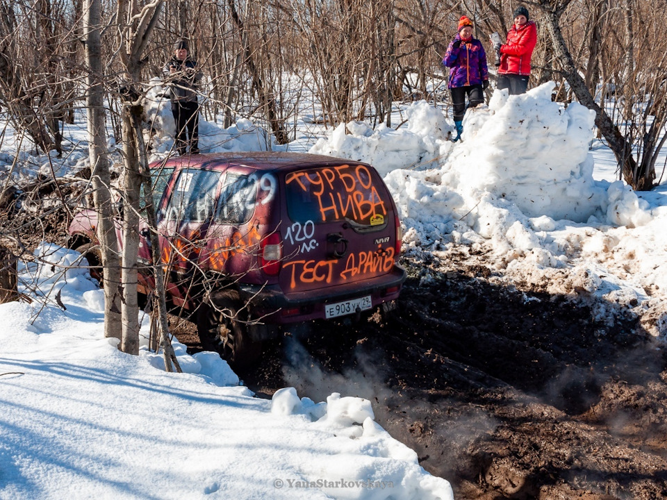 G052175A1 Масло для муфты Хальдекс VAG | Запчасти на DRIVE2