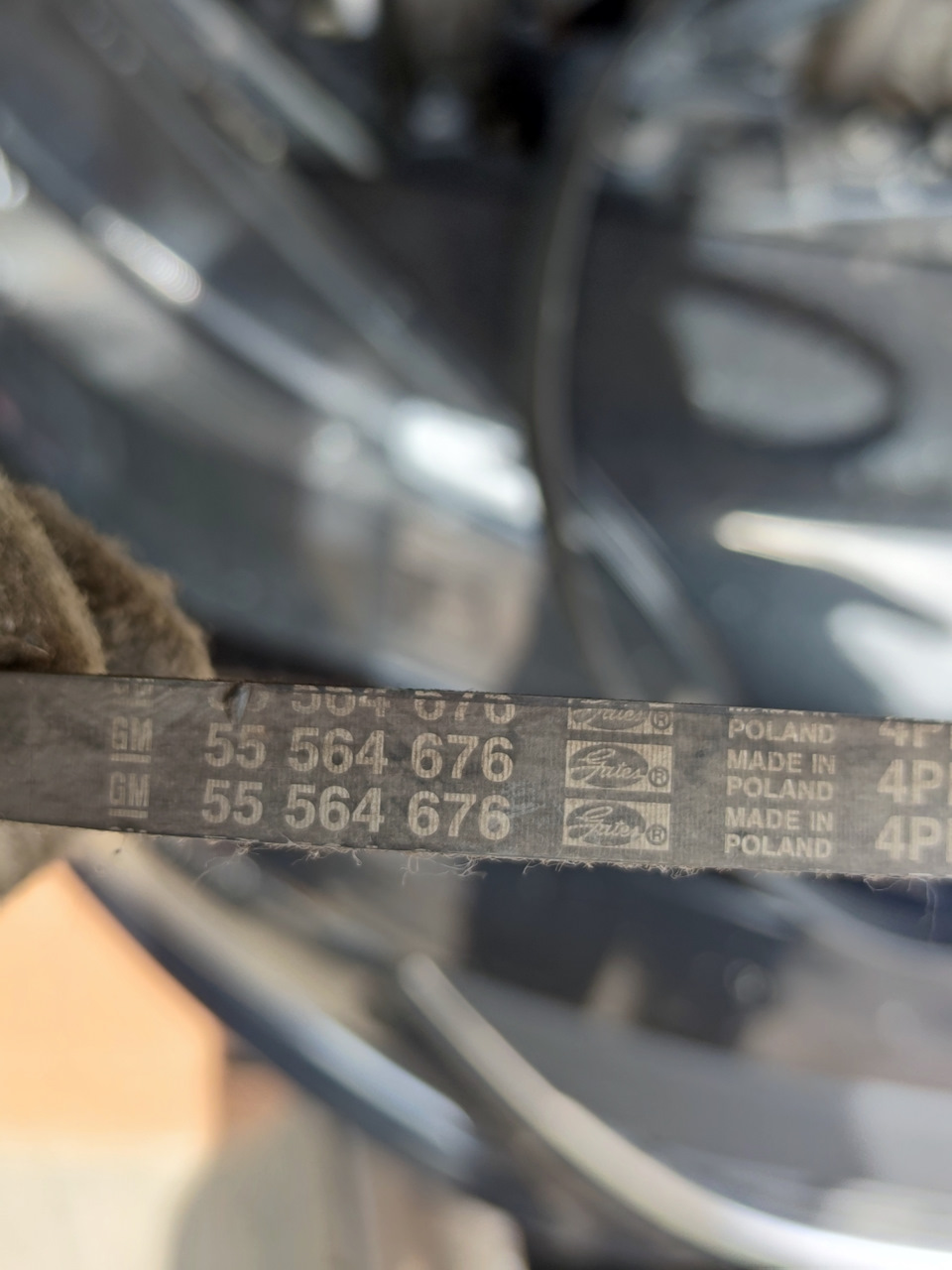 55564676 Ремень привода сервоусилителя Aveo 1.4 GEN 3 GM | Запчасти на ...