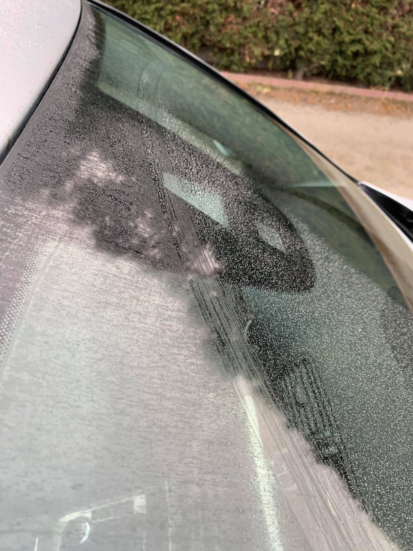 VW Passat B6 -> B7 GW ABS ELV CCM Steering rack 3q0 camera — DRIVE2