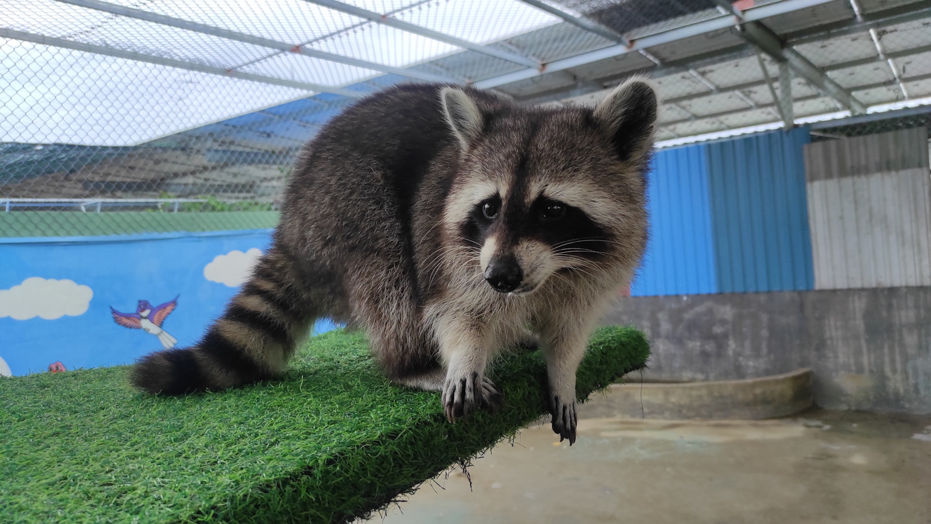 ВЛОЖЕНИЯ ЗА ВСЁ ВРЕМЯ ВЛАДЕНИЯ — Chevrolet Tahoe (GMT800), 5,3 л, 2006 ...