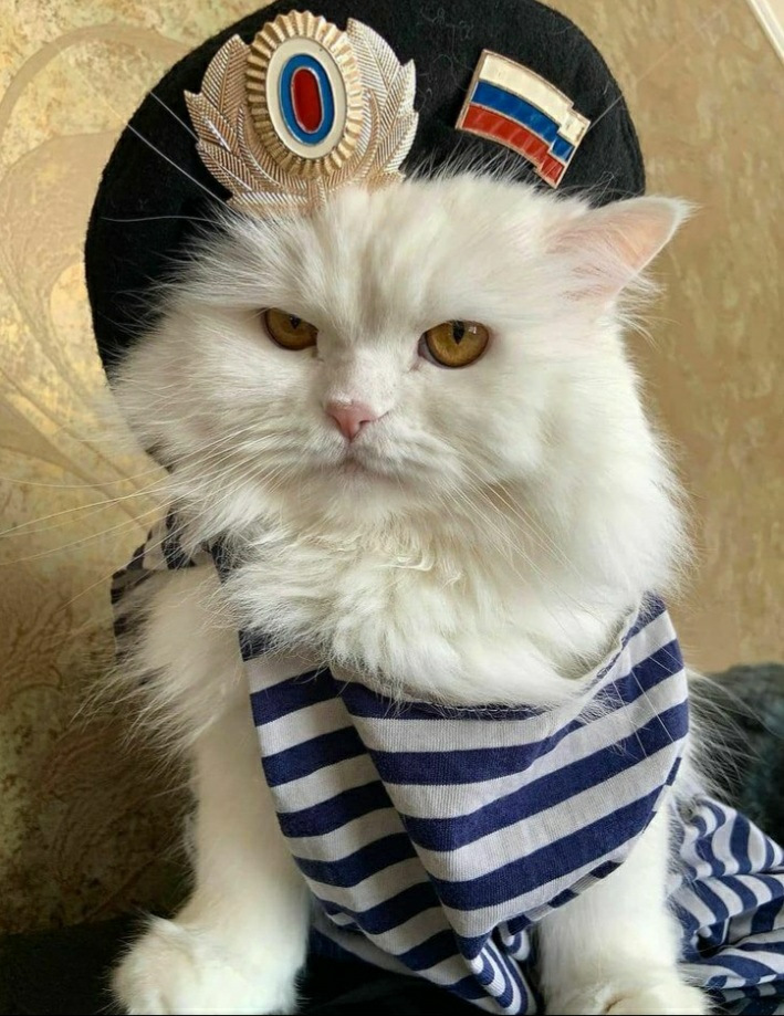 23 февраля — DRIVE2