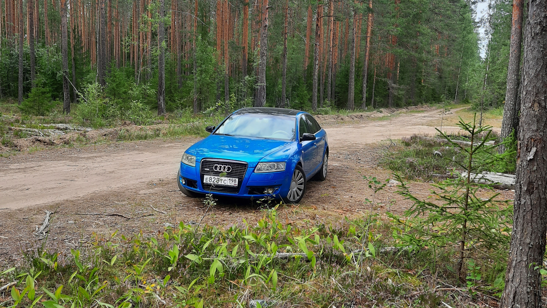 Audi A6 (C6) 3.0 бензиновый 2004 | 3.0 BBJ Quattro на DRIVE2