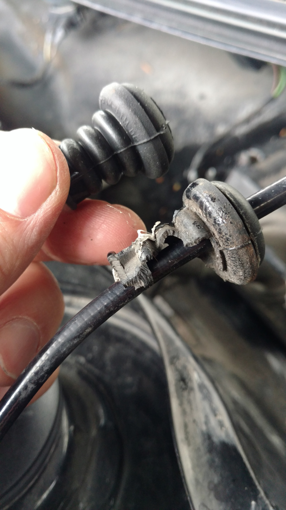 Вода под водительским ковриком — Volkswagen Golf Mk4, 1,8 л, 2003 года ...