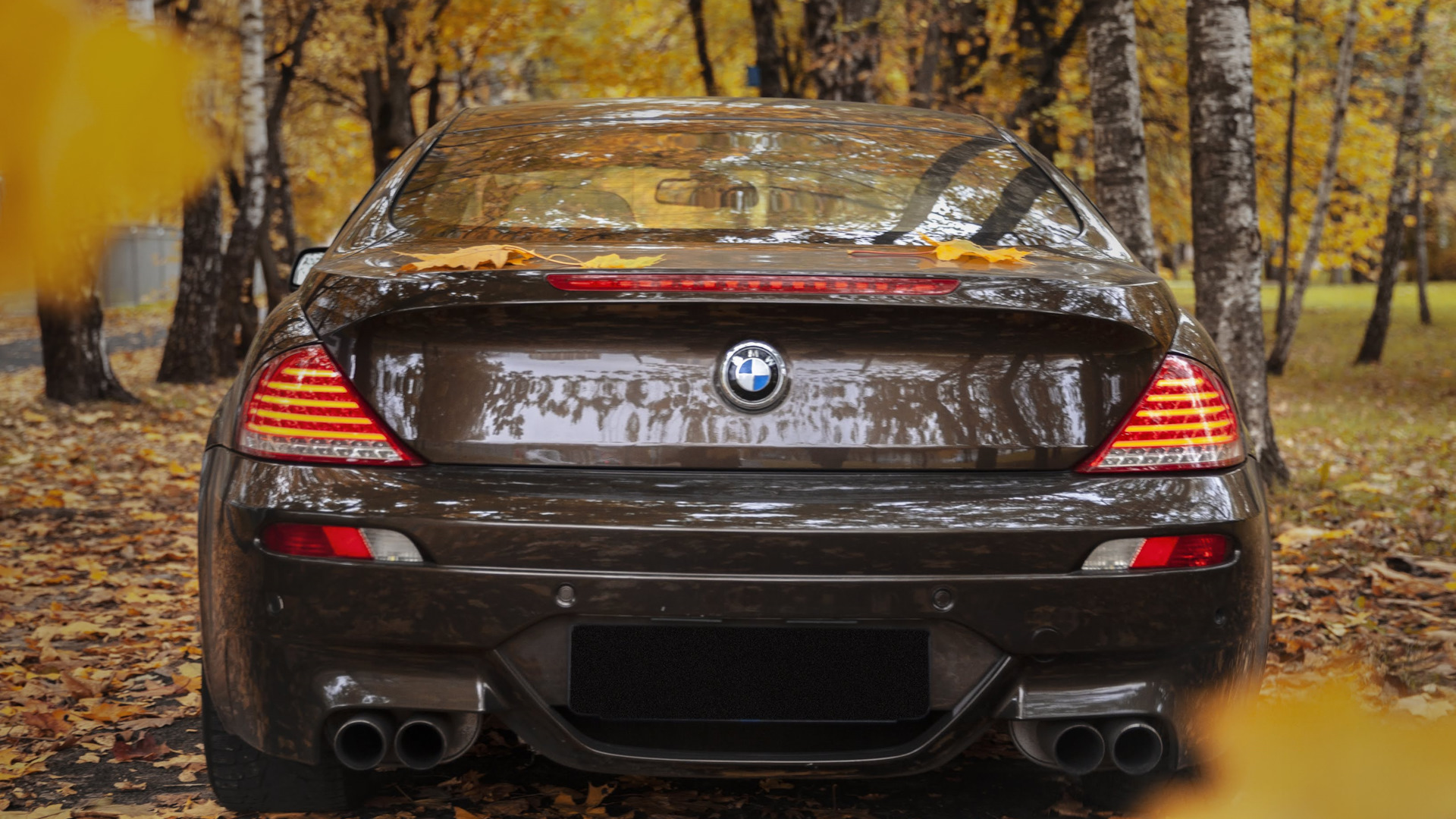BMW 6 series (E63) 4.8 бензиновый 2005 | M650i Pyrite brown на DRIVE2