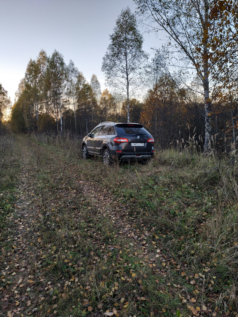 Передние подшипники и привода — Renault Koleos (1G), 2,5 л, 2013 года ...