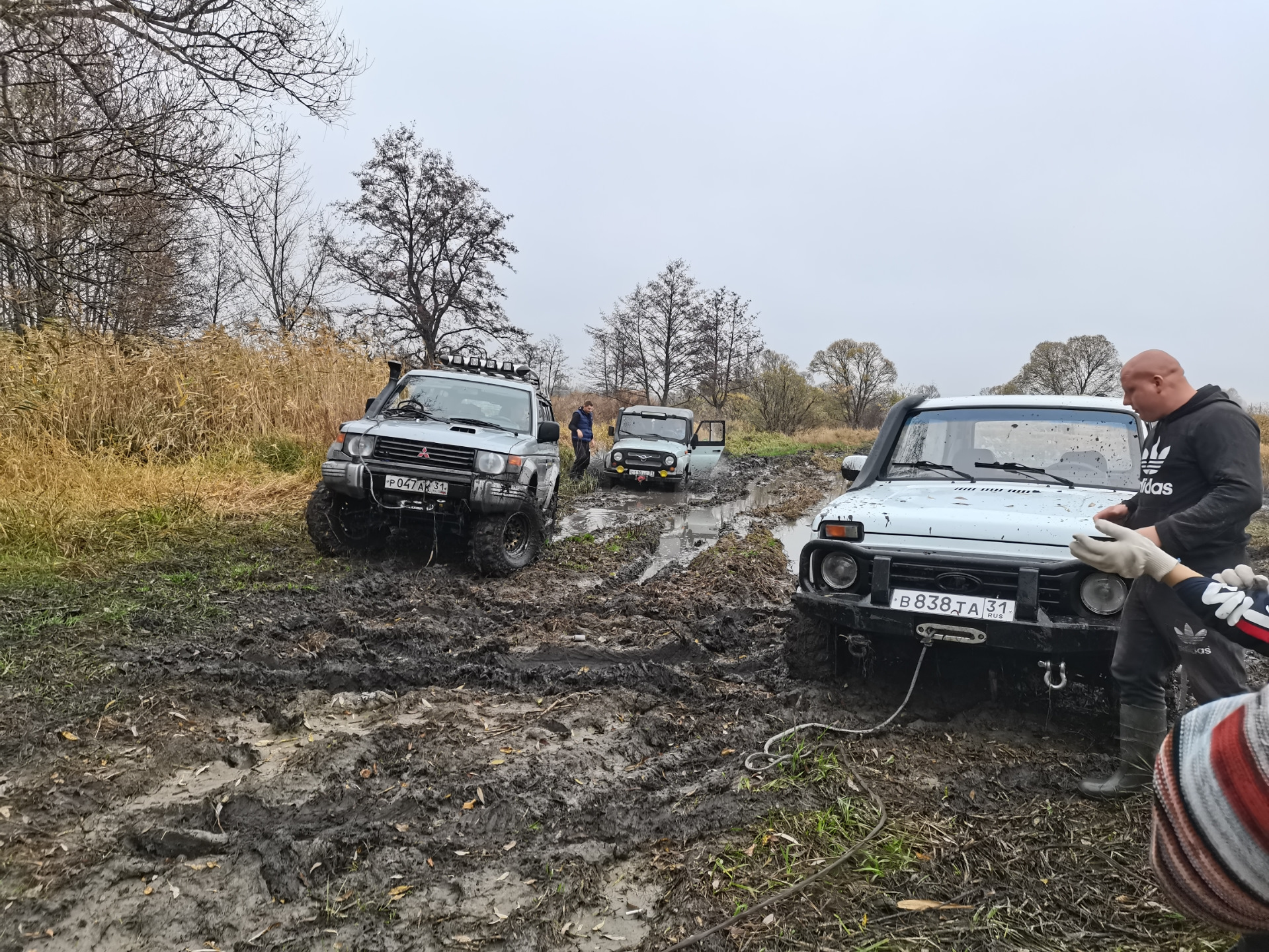 Зачем собаке пятое колесо — Honda CR-V (RD1, RD2), 2 л, 2000 года | колёсные диски | DRIVE2