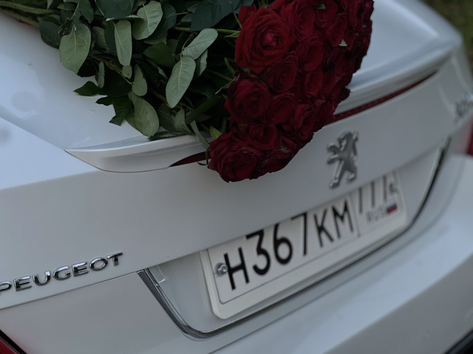 Болты со стразами — Peugeot 308 CC, 1,6 л, 2010 года | тюнинг | DRIVE2