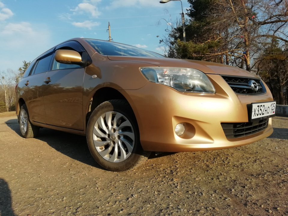 Просто фотосессия — Toyota Corolla Fielder (E140), 1,5 л, 2008 года | просто так | DRIVE2