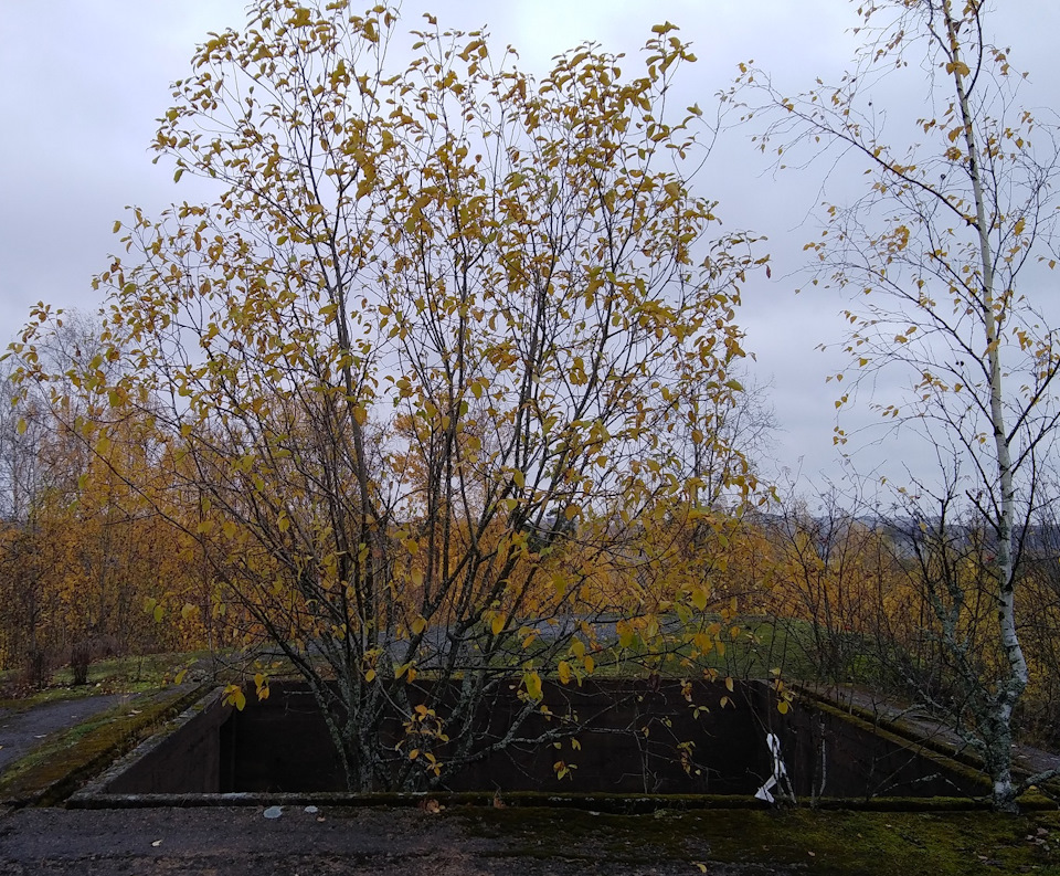 Как я встретил свои 200. От ШРУСа кардана через переднюю подвеску на ...