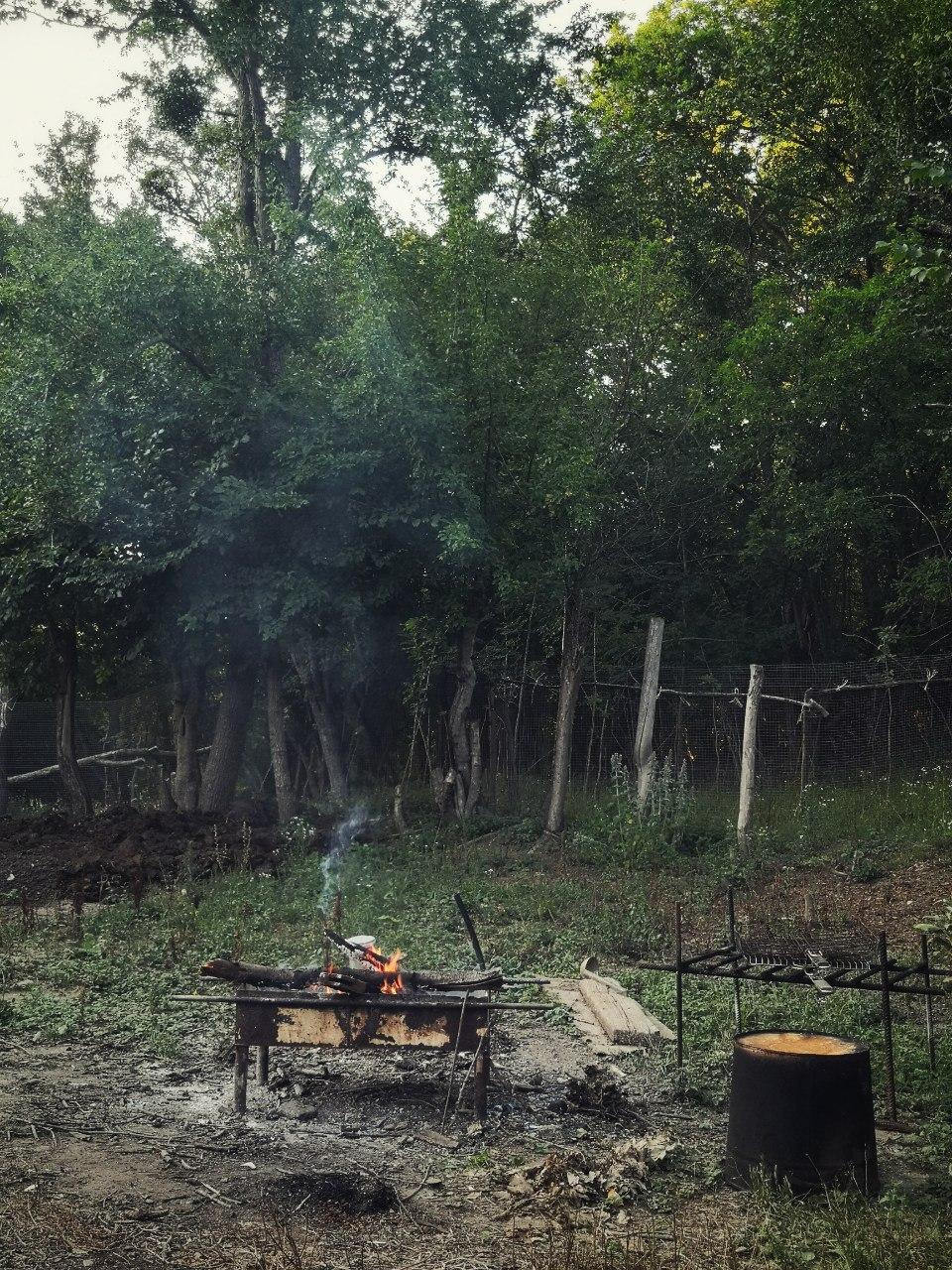 Замена подвесного подшипника. — Volkswagen Sharan (1G), 1,9 л, 2004 ...