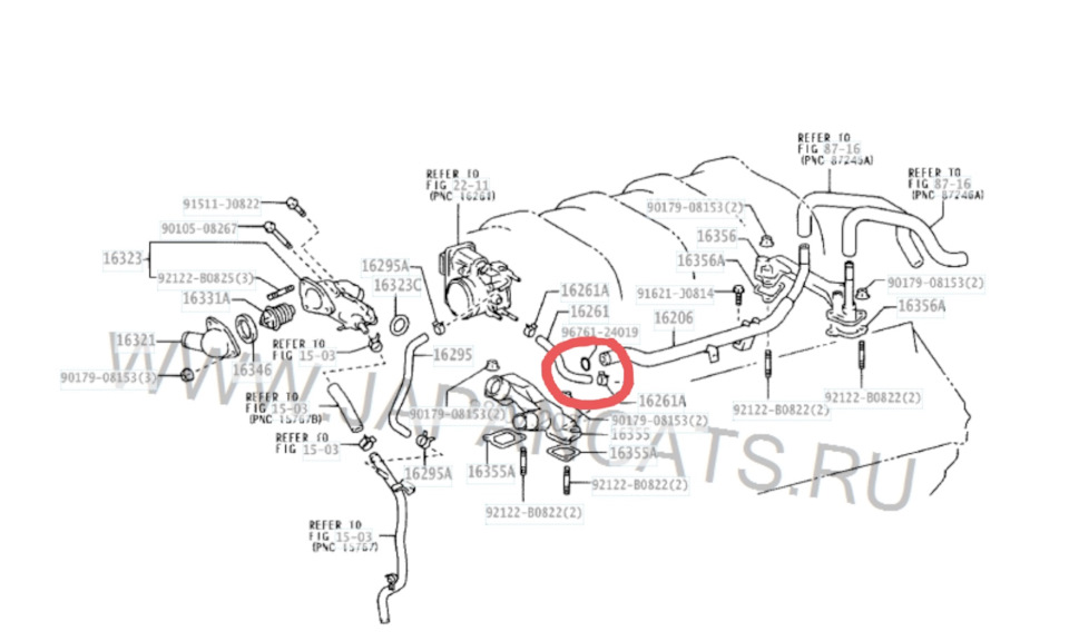 #Аntifreeze — Lexus GX (UZJ120), 4,7 л, 2008 года | расходники | DRIVE2