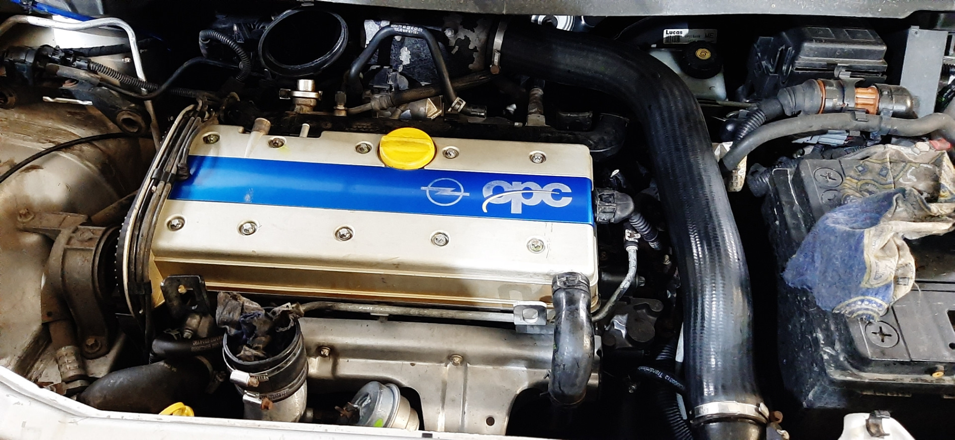 Решили сделать т о — Opel Zafira OPC A, 2 л, 2006 года | рейтинг и ...