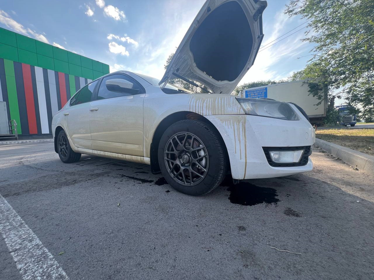 ТО 18-19 (4) — 280000 км., Клапан управления Масло Форсунками N522 ...