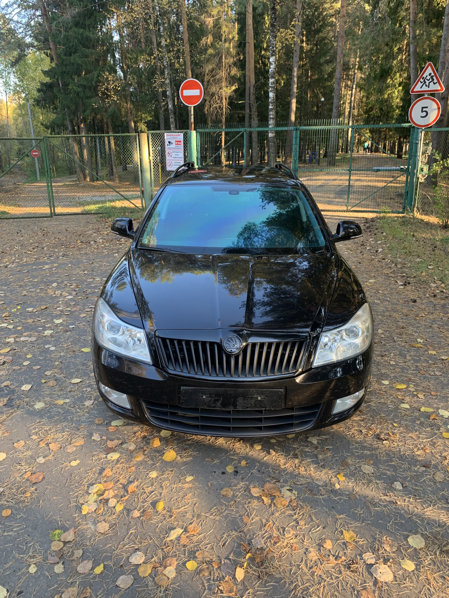 Атермалка на лобовое и аквариум — Skoda Octavia Combi A5 Mk2, 1,6 л ...