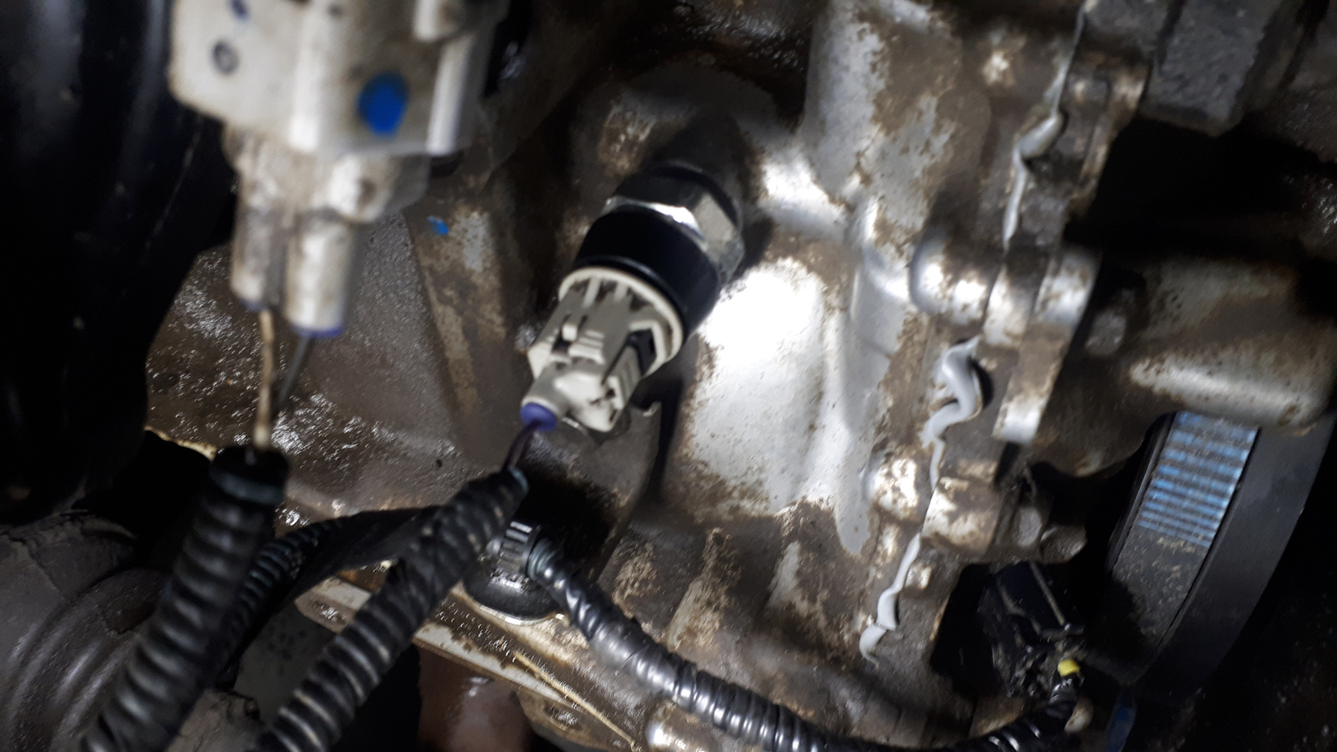 Замена датчика давления масла. — Toyota Auris (2G), 1,3 л, 2013 года ...