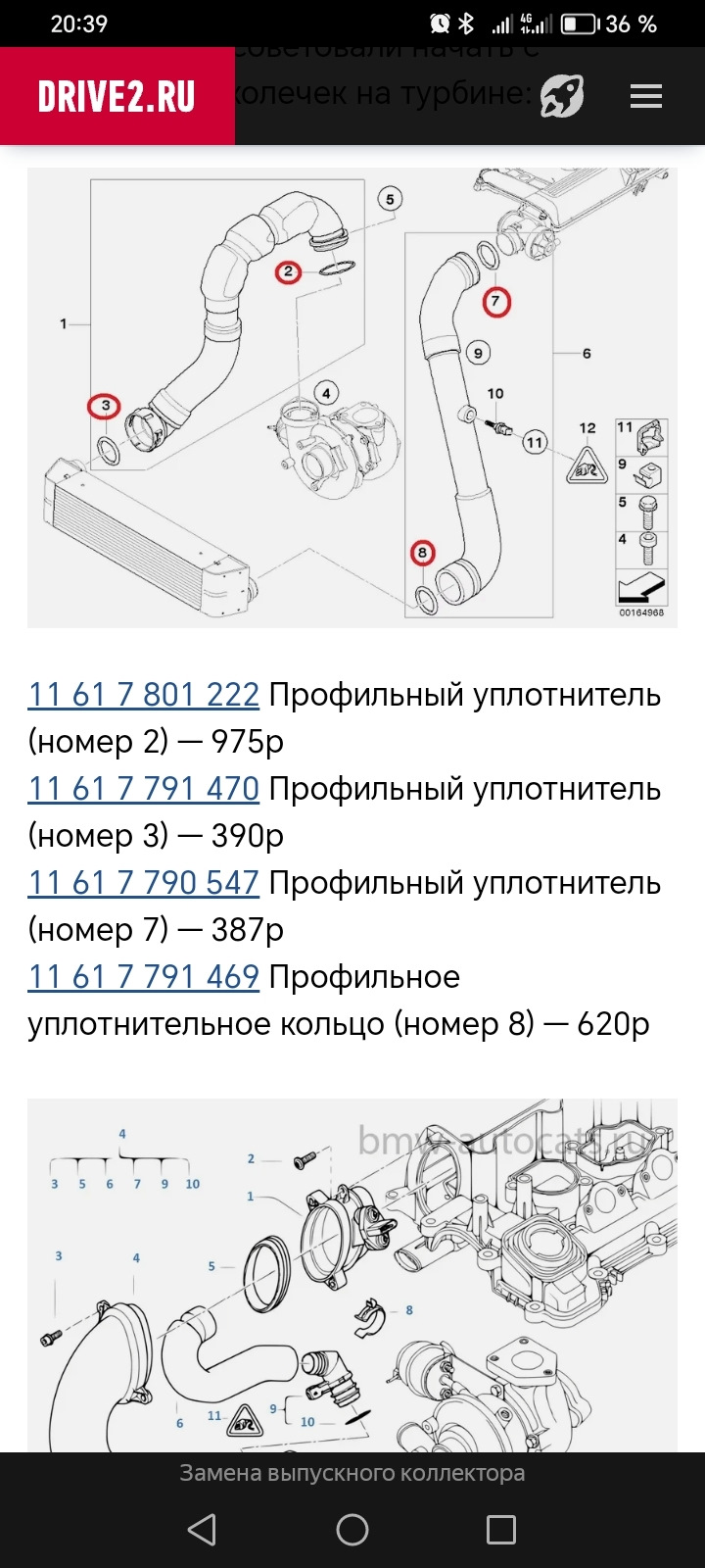 11617791469 Профильное уплотнительное кольцо BMW | Запчасти на DRIVE2