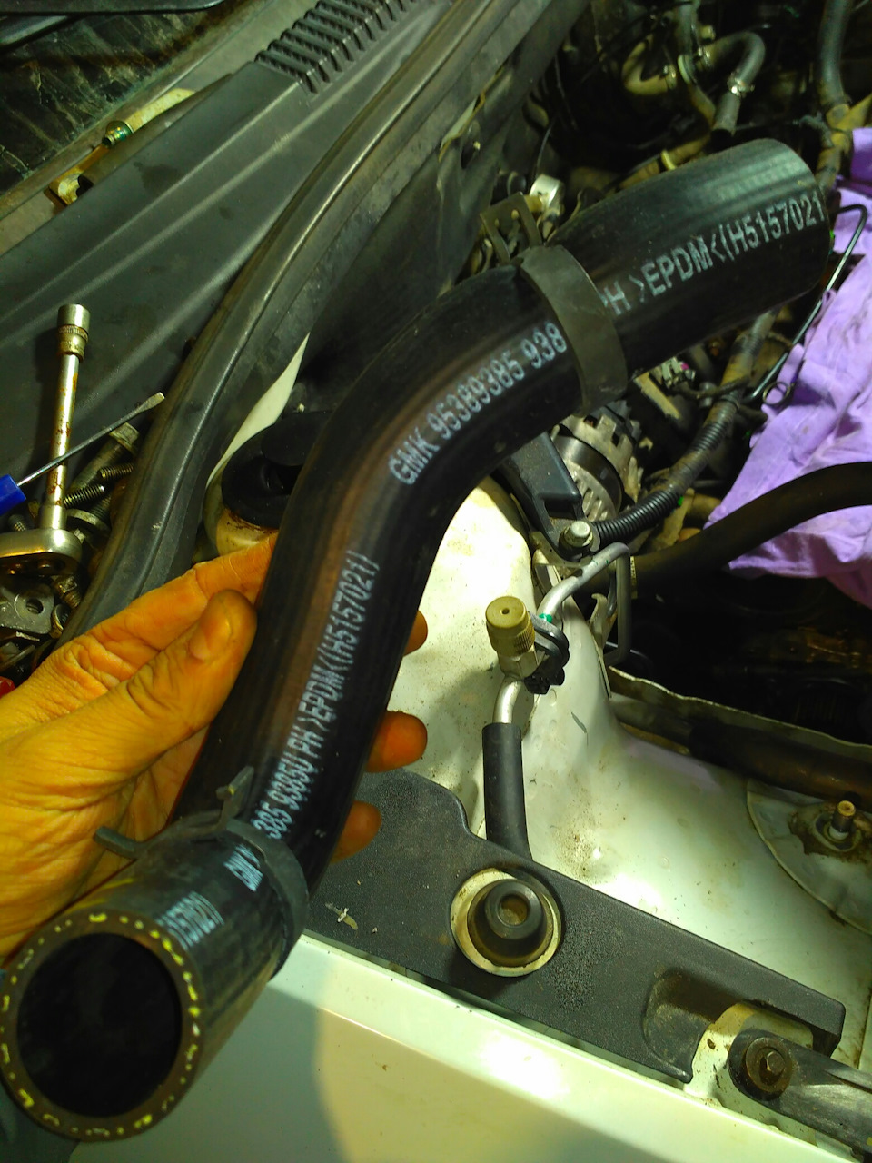 95389385 Шланг радиатора GM | Запчасти на DRIVE2