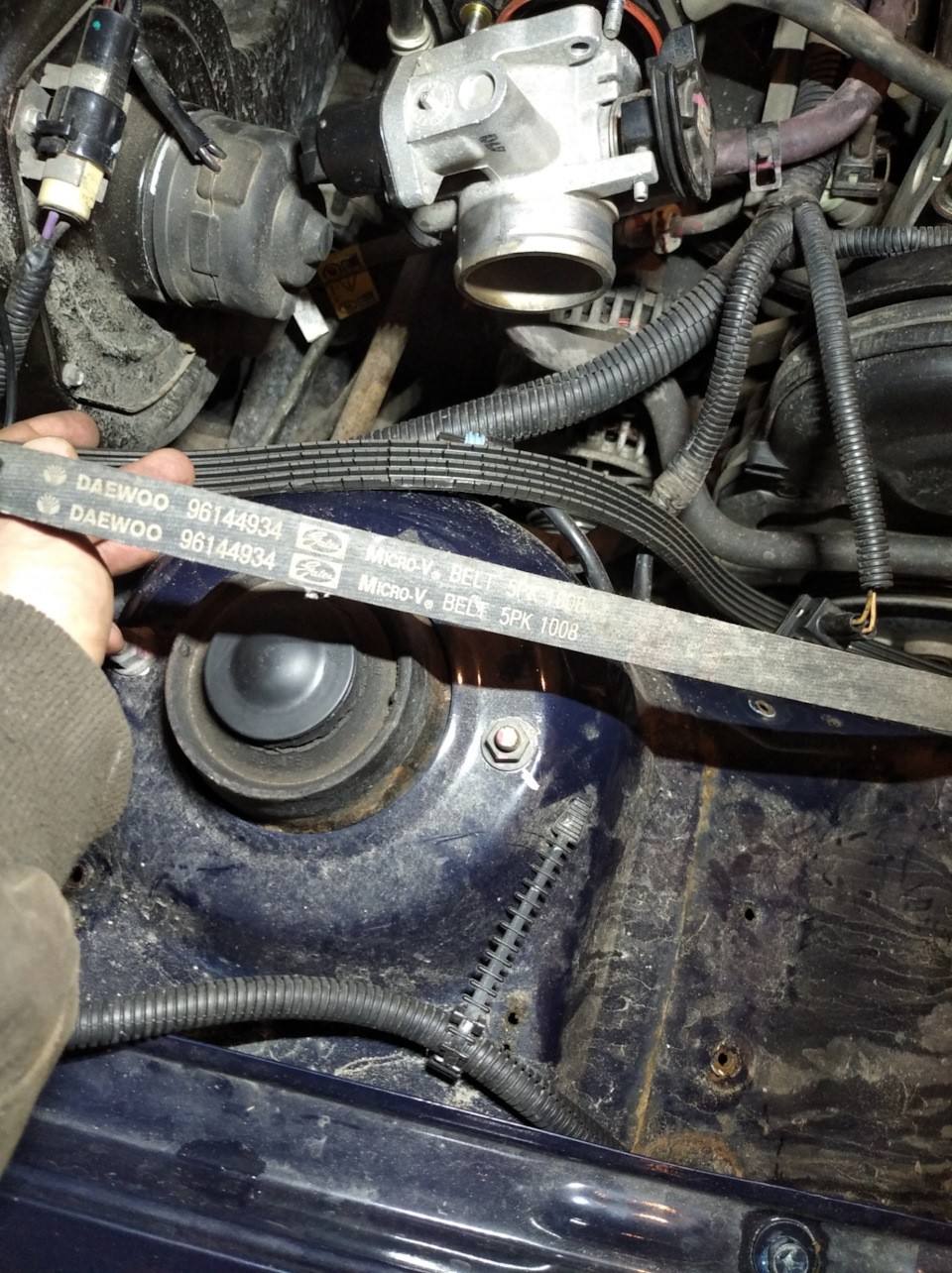 96144934 Ремень приводной генератора 1,6 (5К1008) GM | Запчасти на DRIVE2