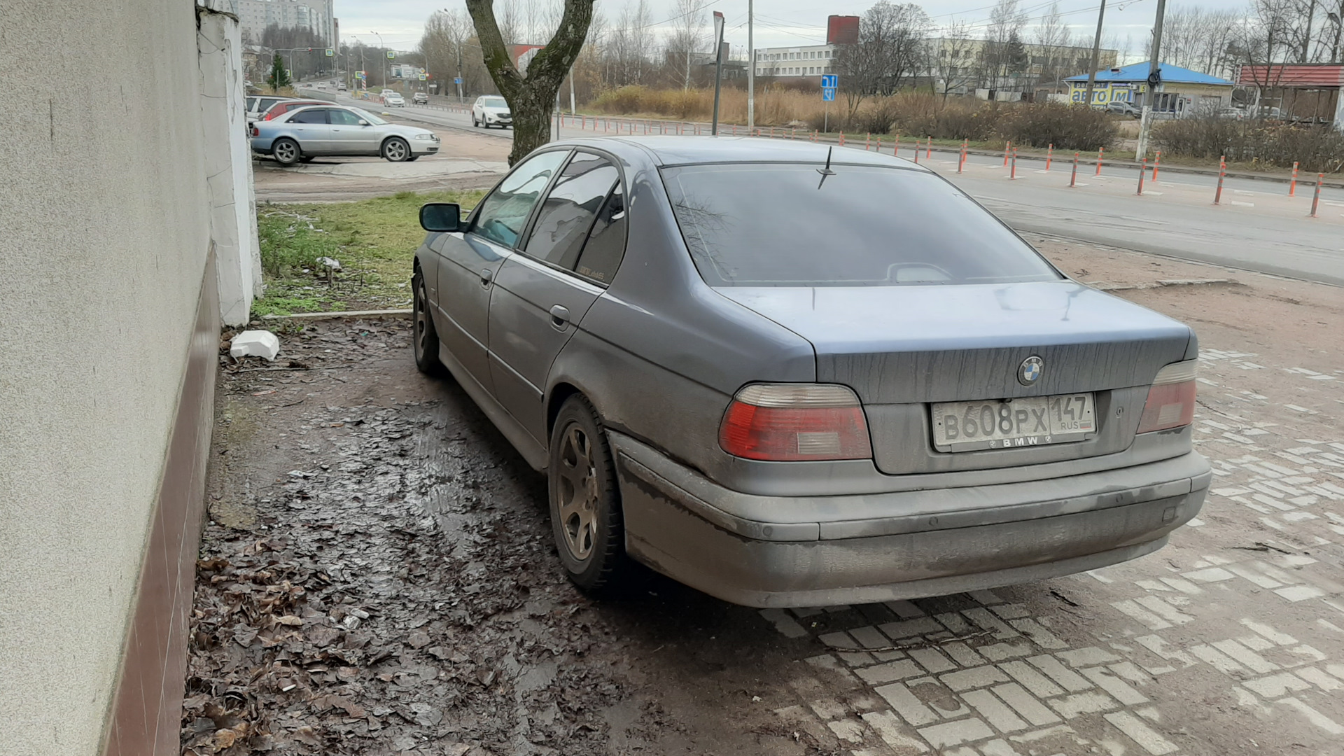 BMW 5 series (E39) 2.5 бензиновый 2002 | Серенькая )) на DRIVE2
