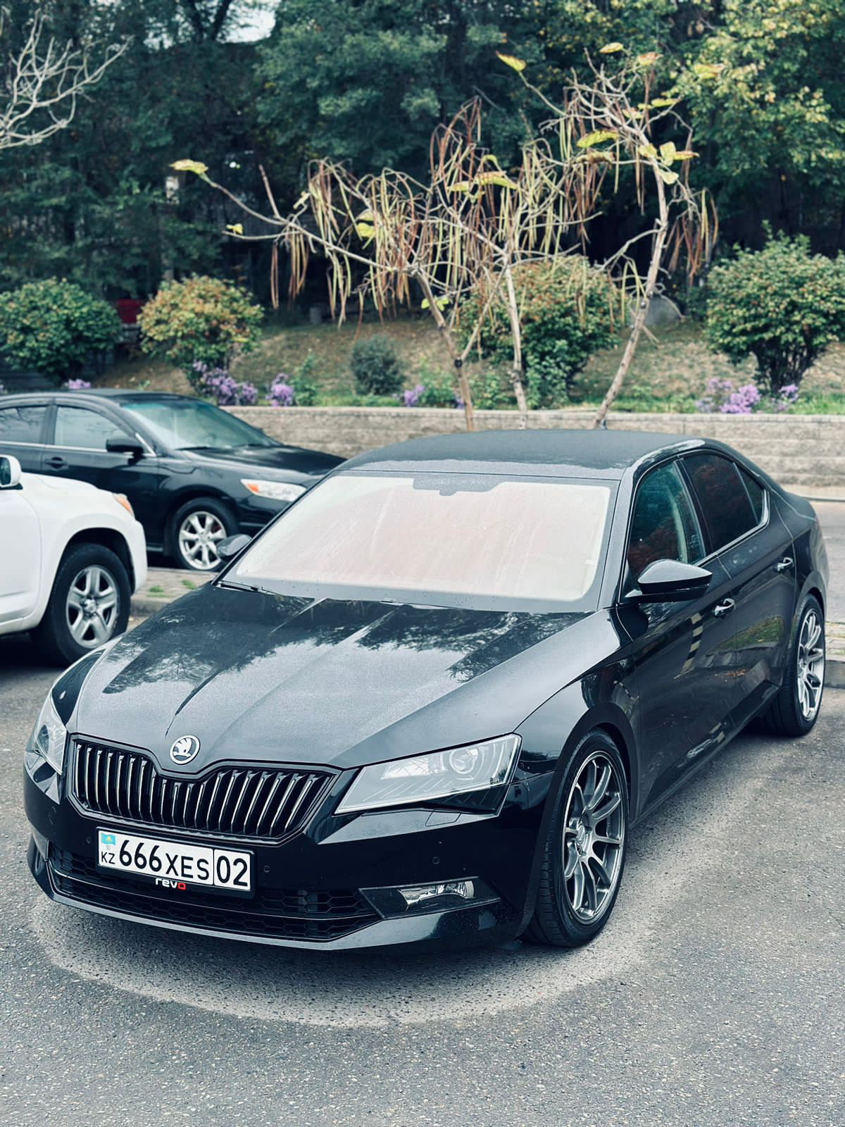 Красуемся — Skoda Superb Mk3, 2 л, 2018 года | наблюдение | DRIVE2