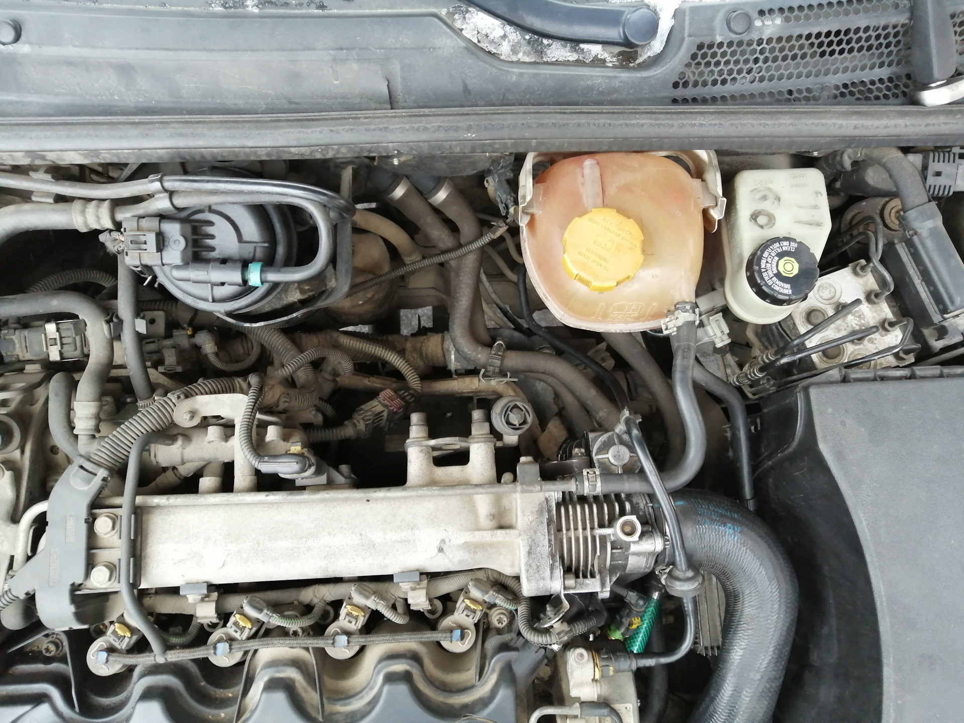 Замена термостата Z19DT. Окончательное избавление от ЕГР. — Opel Vectra ...