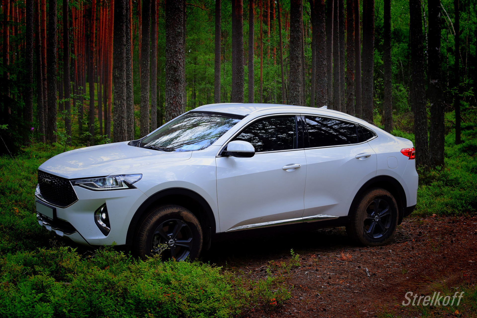 Лесная фотосессия — Haval F7x, 1,5 л, 2021 года | фотография | DRIVE2