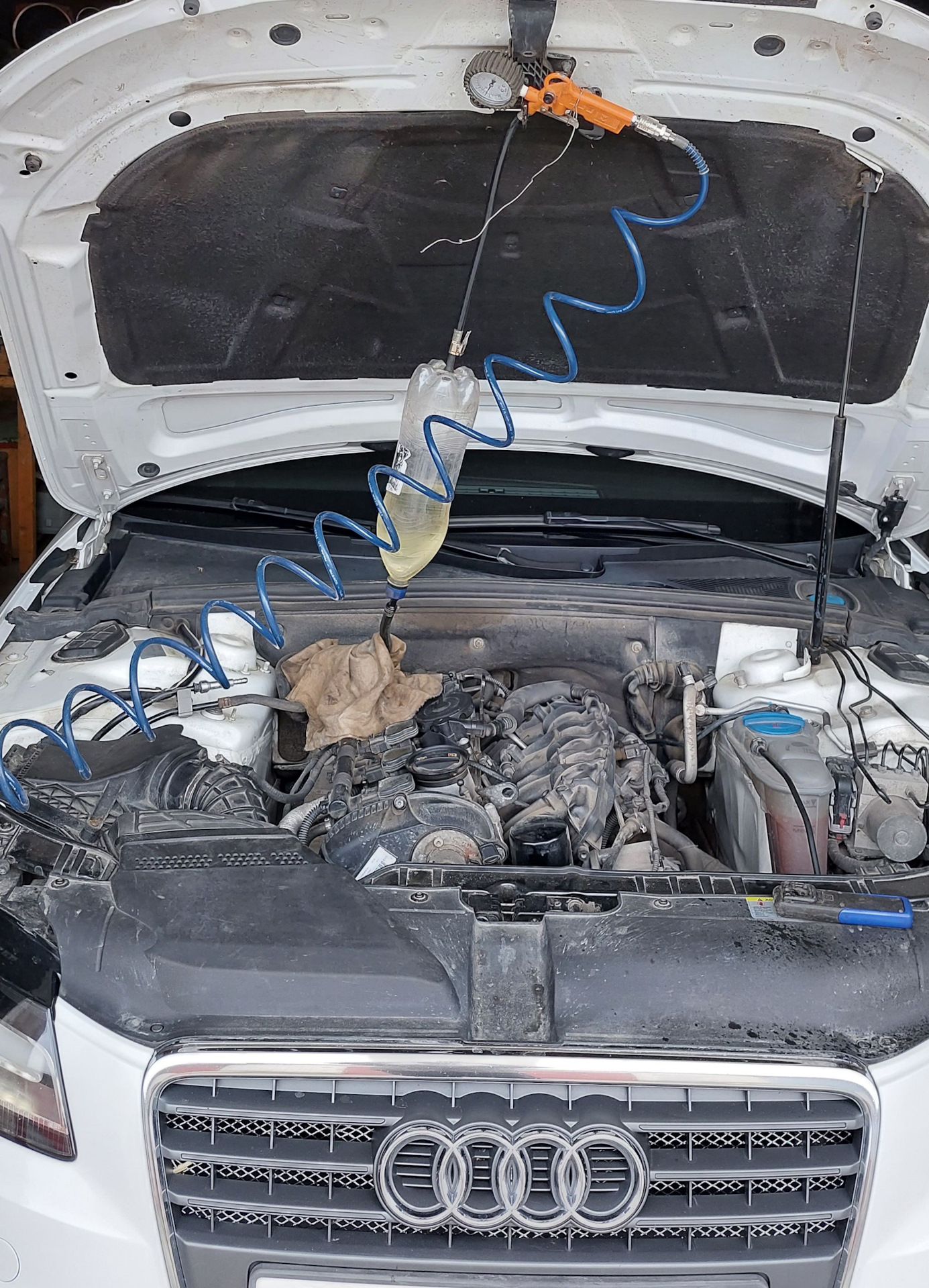 ТО — Audi A4 (B8), 1,8 л, 2011 года | плановое ТО | DRIVE2