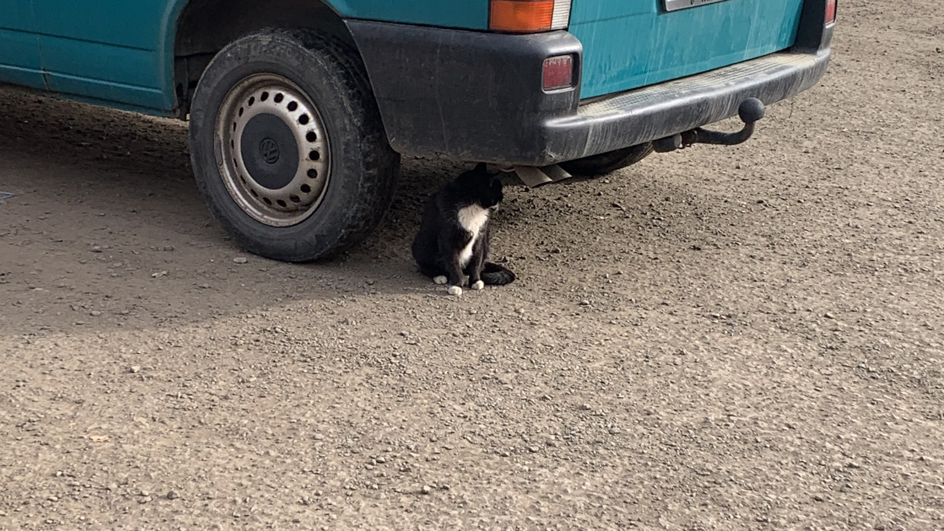 Volkswagen Transporter T4 2.5 дизельный 2000 | Cucumber на DRIVE2