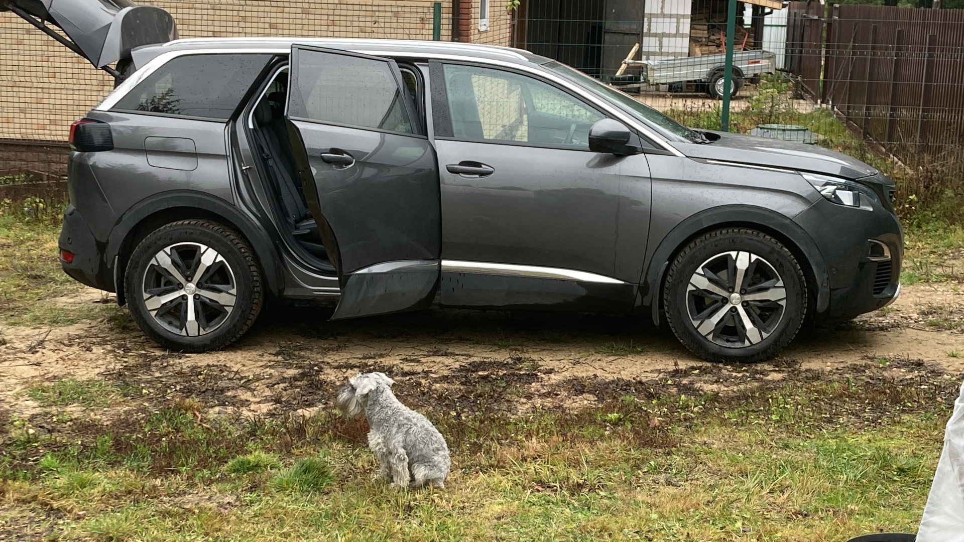 Peugeot 5008 (2G) 1.6 бензиновый 2018 | на DRIVE2