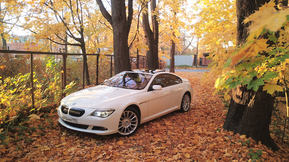 BMW 6 series (E63) 3.0 дизельный 2008 | 635d Individual на DRIVE2