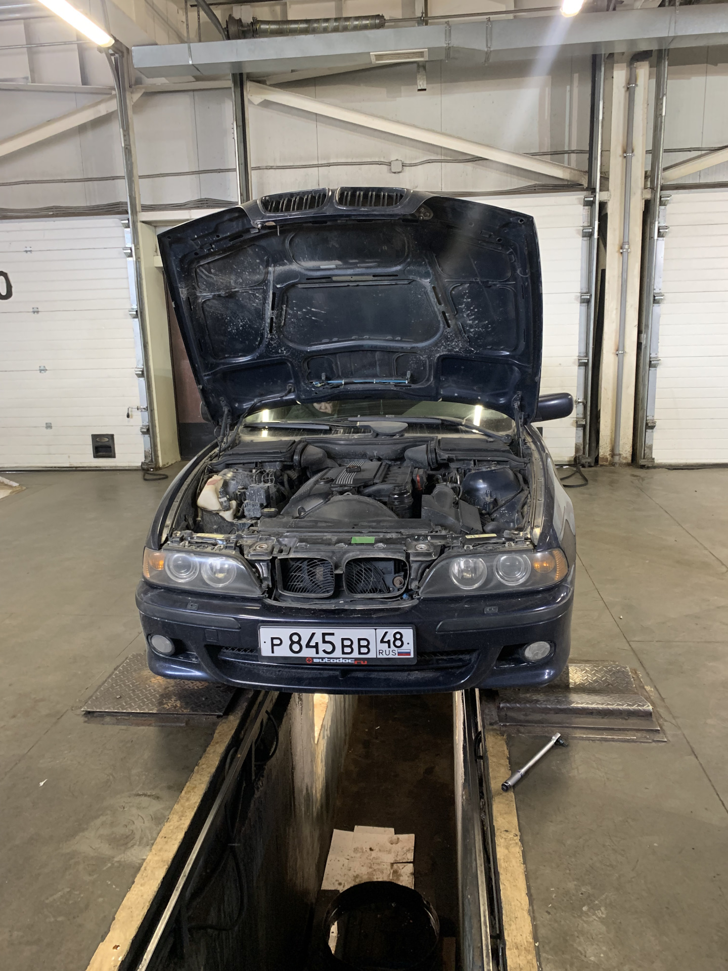 Замена масла в двигателе и ГУР — BMW 5 series (E39), 2,5 л, 2001 года ...