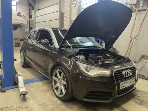 WHT003366 Кольцо уплотнительное (194) VAG | Запчасти на DRIVE2