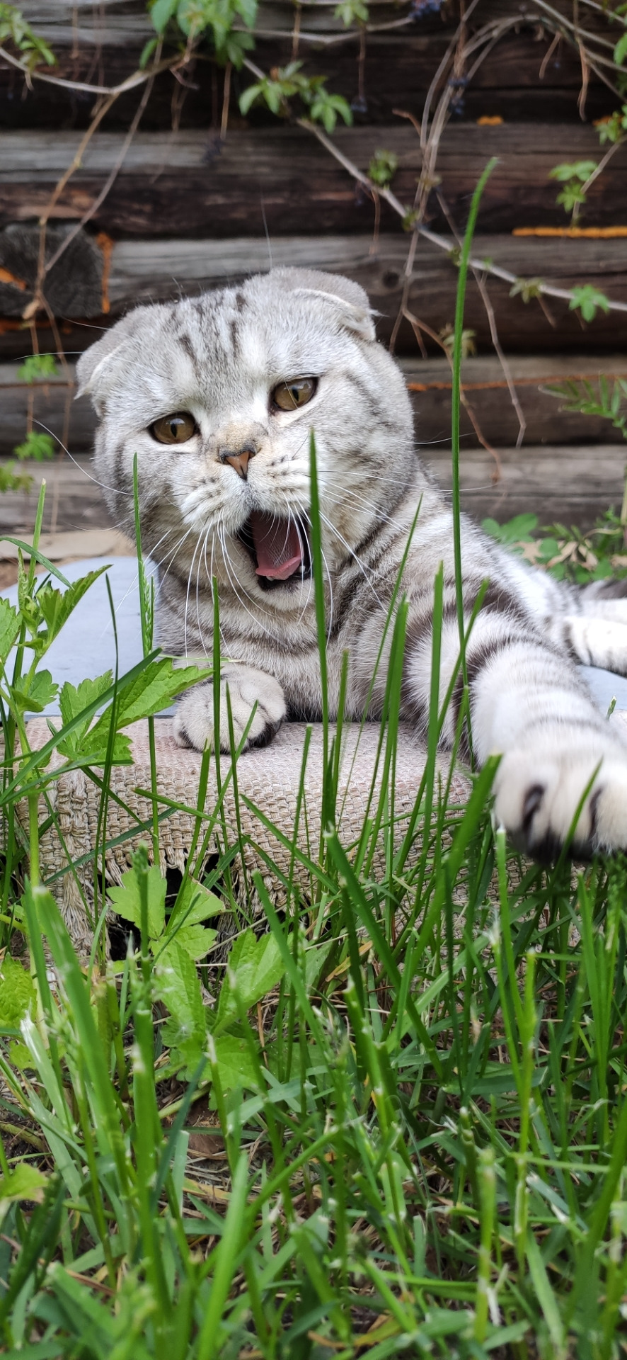 Ревизия 5 двери — Mazda CX-5 (1G), 2 л, 2013 года | запчасти | DRIVE2