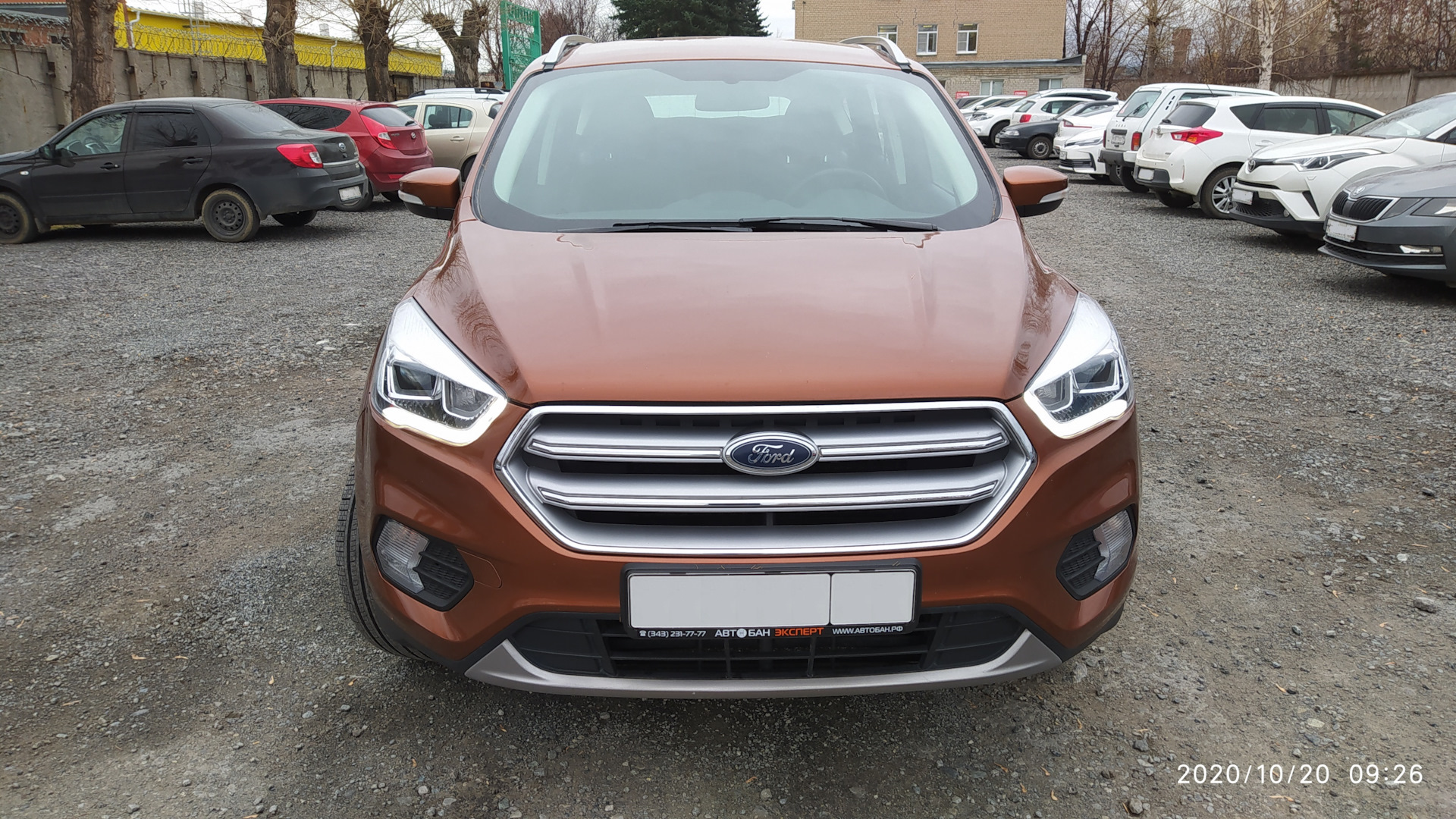 Ford Kuga (2G) 2.5 бензиновый 2017 | на DRIVE2