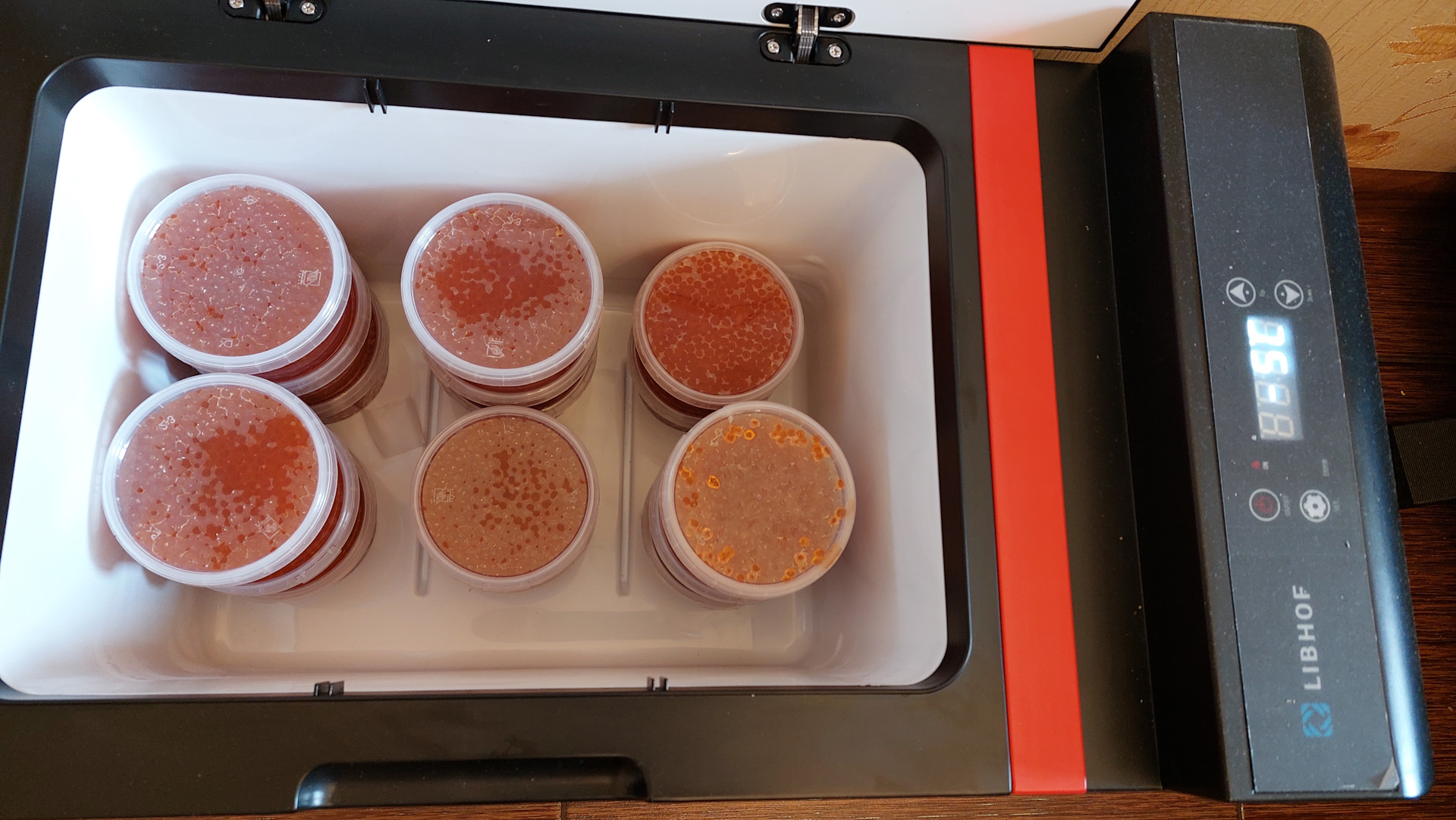 Автохолодильник компрессорный Libhof Q-22 — Mazda CX-9 (2G), 2,5 л, 2018 года | аксессуары | DRIVE2