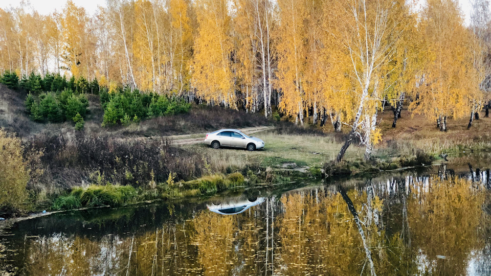 Nissan Primera (P12) 1.8 бензиновый 2002 | "Ongon of Shaman" на DRIVE2