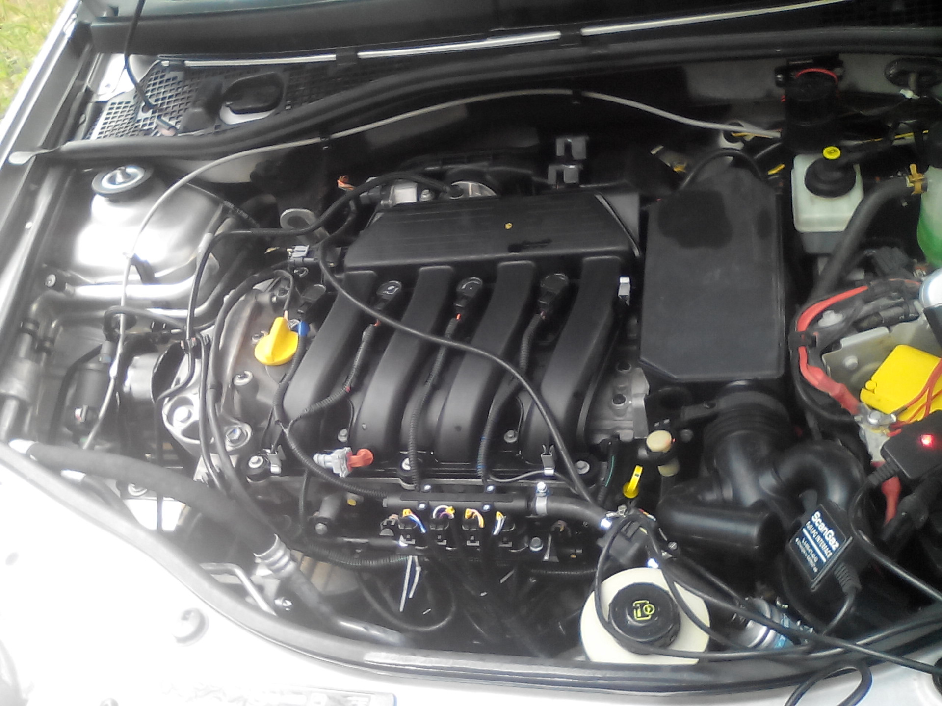 Правильные сальники распредвалов — Renault Duster (1G), 2 л, 2014 года ...