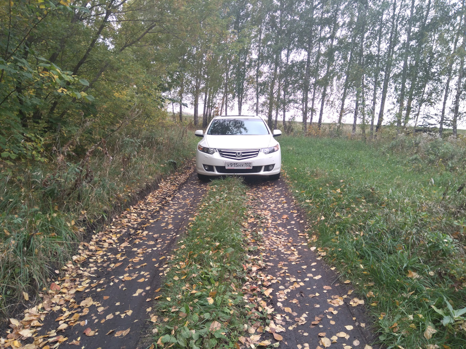 ТО — 174100. Аккумулятор, свечи, масло ДВС, редуктор — Lexus IS II, 2,5 ...