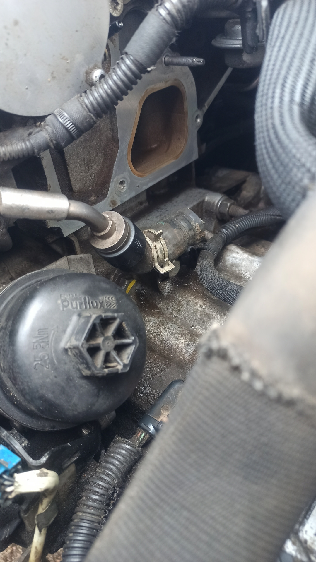Замена шланга охлаждения — Citroen C4 L, 1,6 л, 2014 года | поломка ...