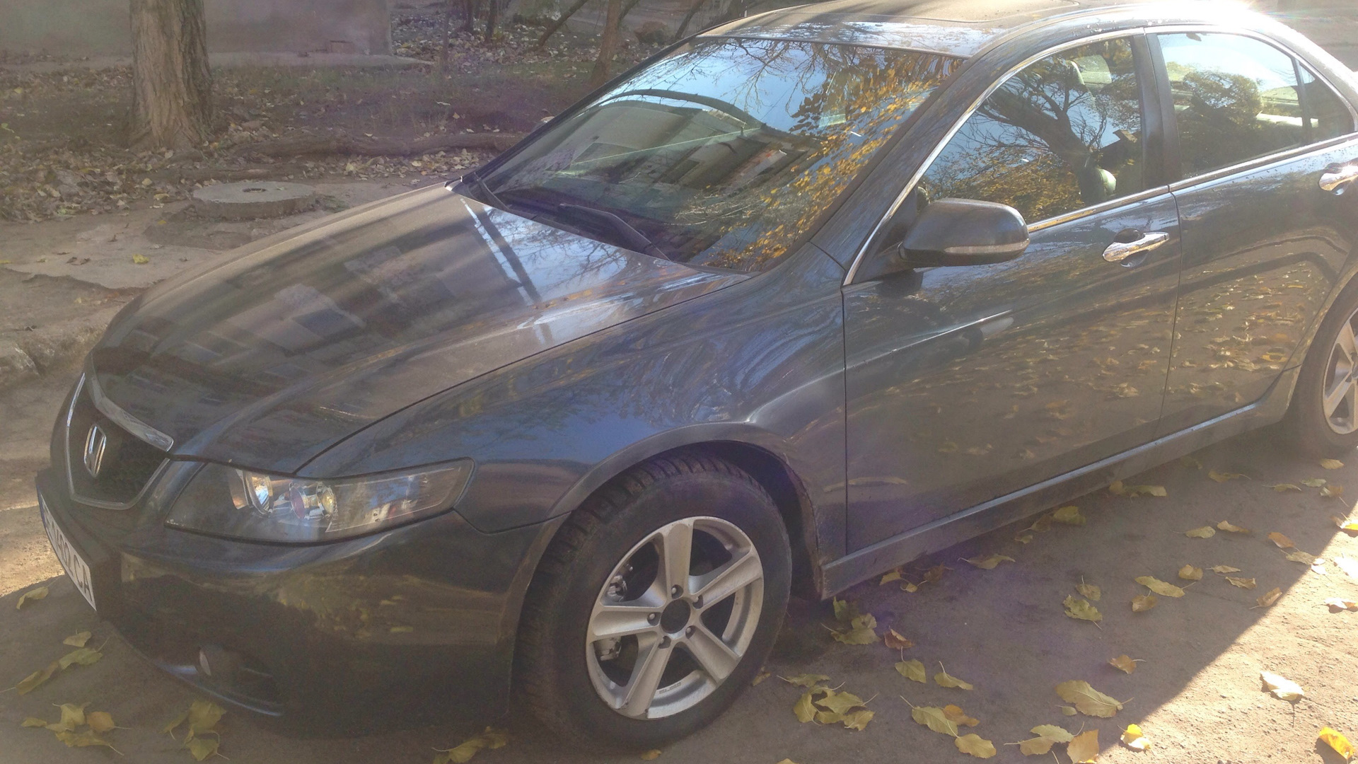 Honda Accord (7G) 2.0 бензиновый 2005 | на DRIVE2