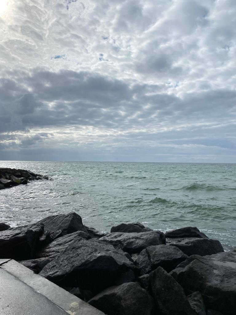 5.о5.2о2о_[194.445-150.550=43.895] — Chevrolet Rezzo, 1,6 л, 2008 года ...