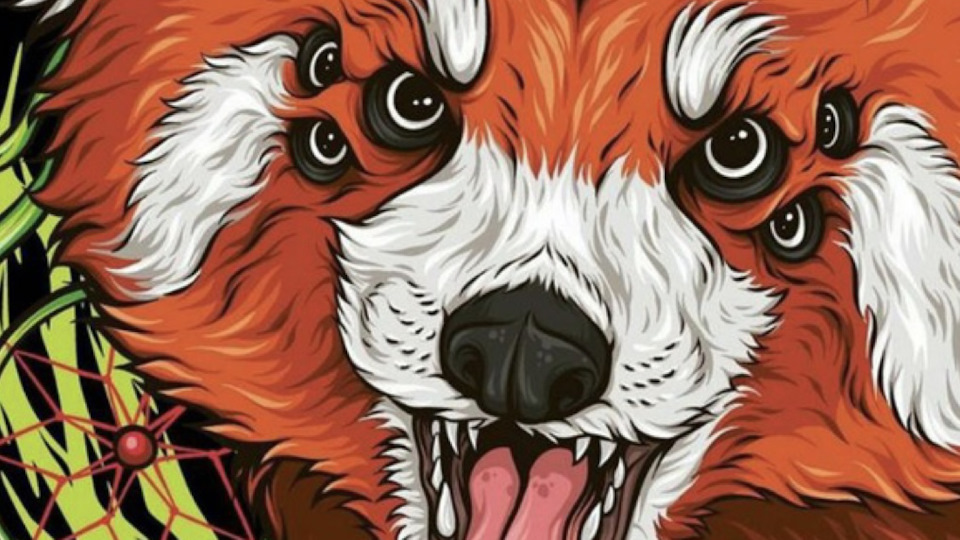 Honda Element 2.4 бензиновый 2005 | Red Panda на DRIVE2