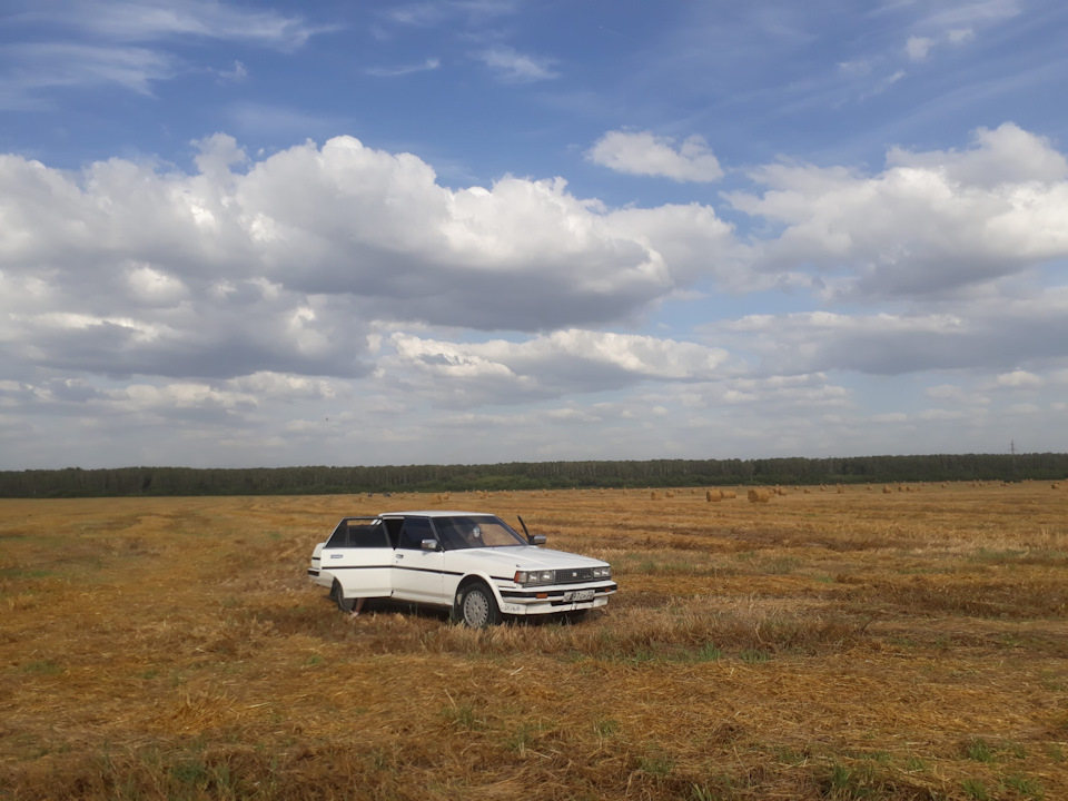 Замена магистрального топливного насоса — BMW 5 series (E39), 3 л, 1999 ...