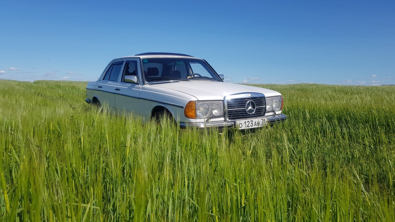 Mercedes-Benz W123 2.0 дизельный 1985 | Diesel на DRIVE2