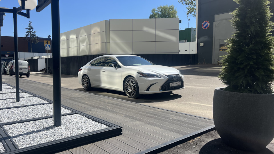 Lexus ES (7G) 2.5 бензиновый 2020 | на DRIVE2
