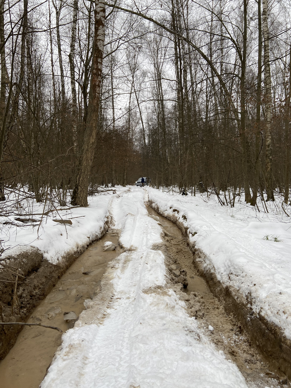 8713952040 Фильтр, воздух во внутренном пространстве TOYOTA LEXUS ...