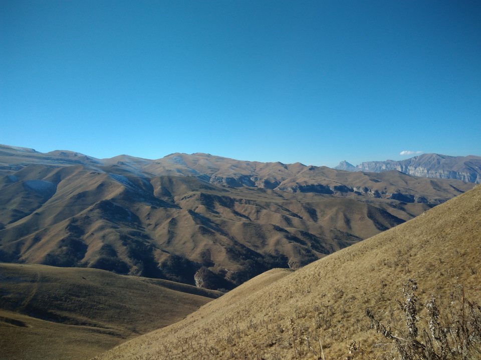 ECS-TUNING: отзывы, цены, фото